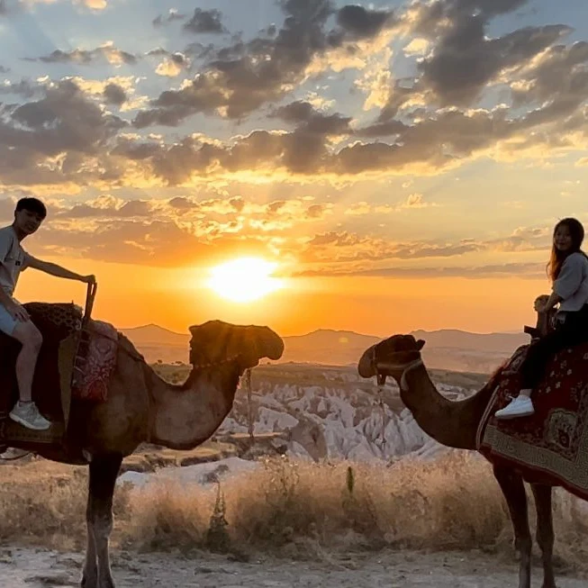 Camel Tours – Cappadocia Fast Booking